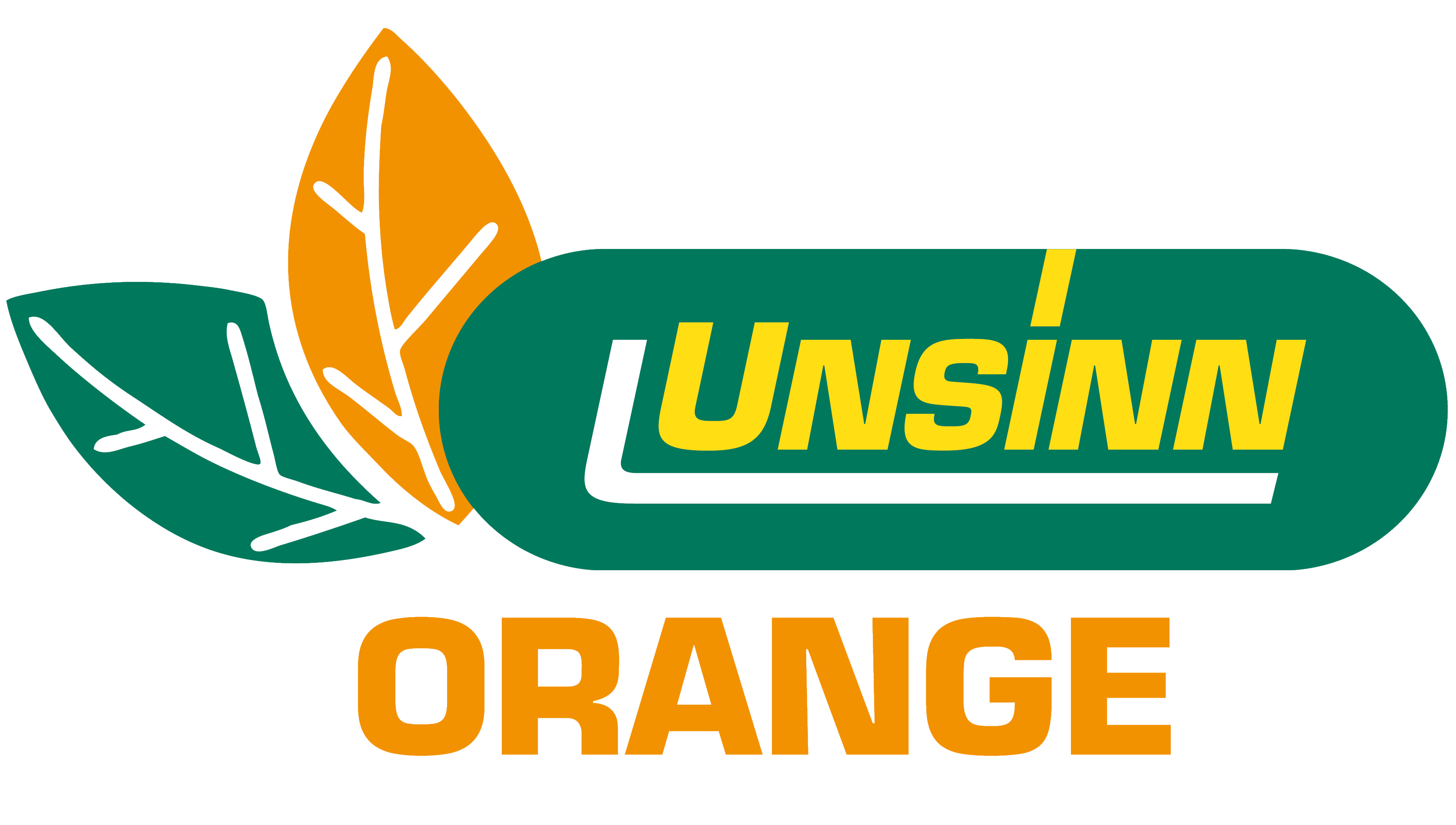 Orange | UNSINN Fahrzeugtechnik
